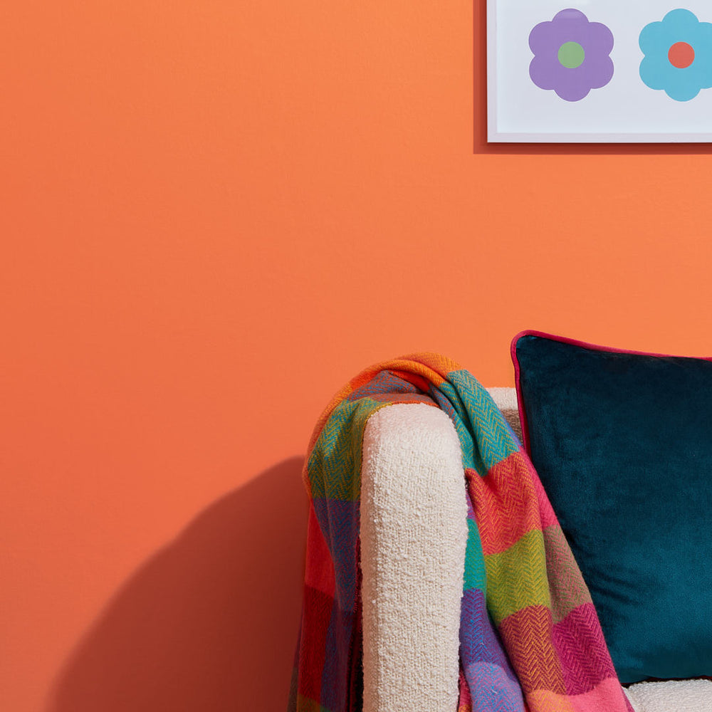 Veneziano Matt Emulsion Paint | Eco Conscious Paint | Lust Home